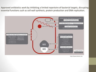 Evolution of superbug | PPTX
