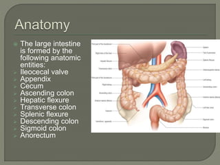 Evolution of surgery in colorectal cancer | PPTX