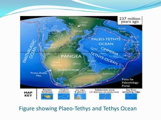 Evolution of tethys sea | PPTX
