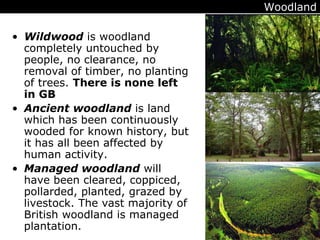 1017 Evolution of the British Landscape | PPT