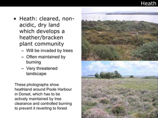 1017 Evolution of the British Landscape | PPT