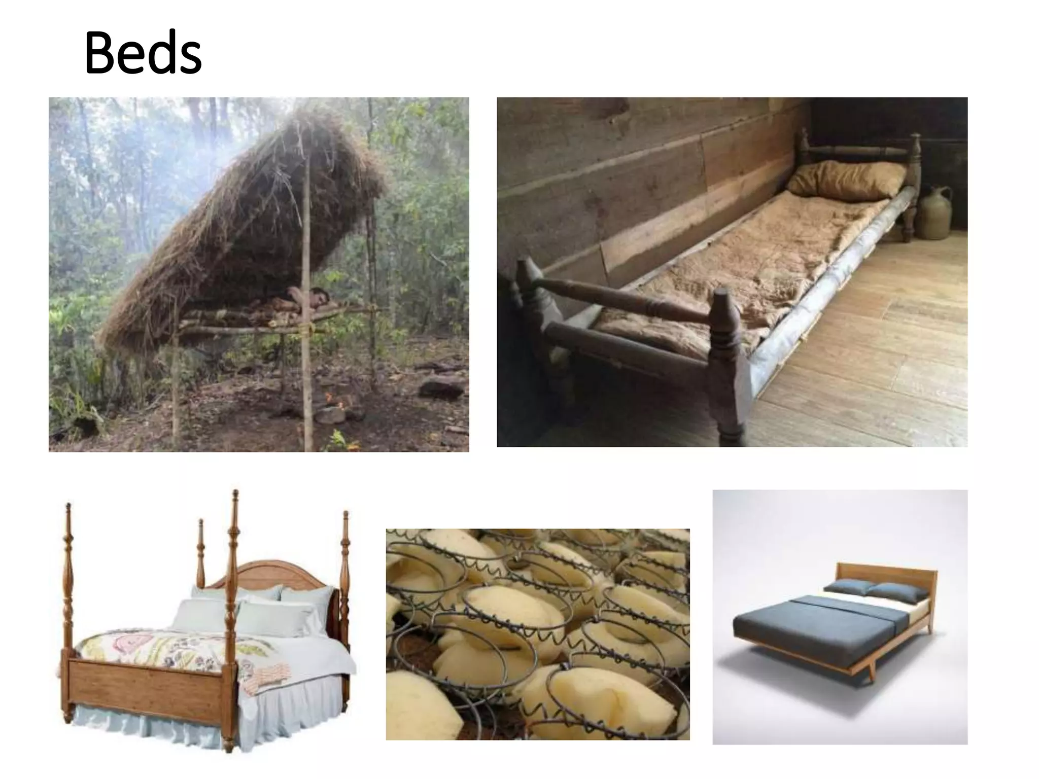 Evolution of the house and home | PPTX