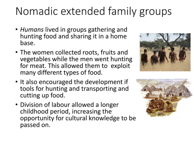 Evolution of the house and home | PPTX