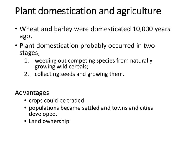 Evolution of the house and home | PPTX