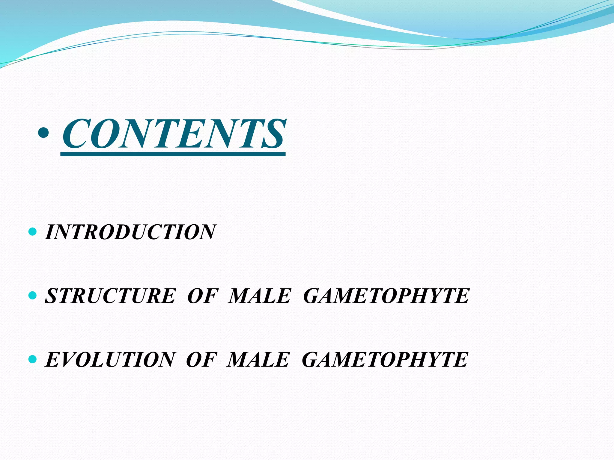 Evolution of the male gametophytes of gymnosperms | PPTX | Gardening ...