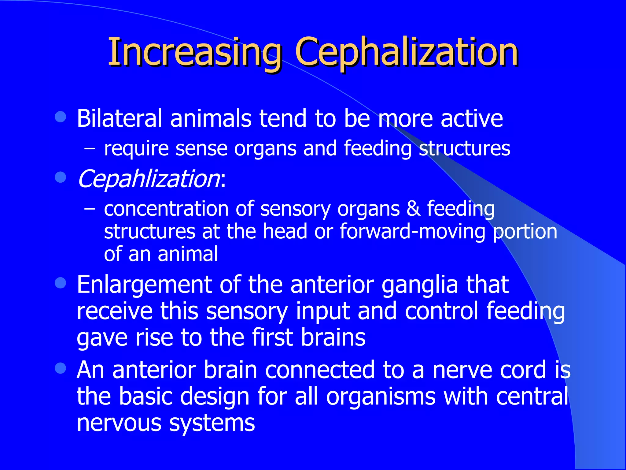 Evolution Of The Nervous System | PPT