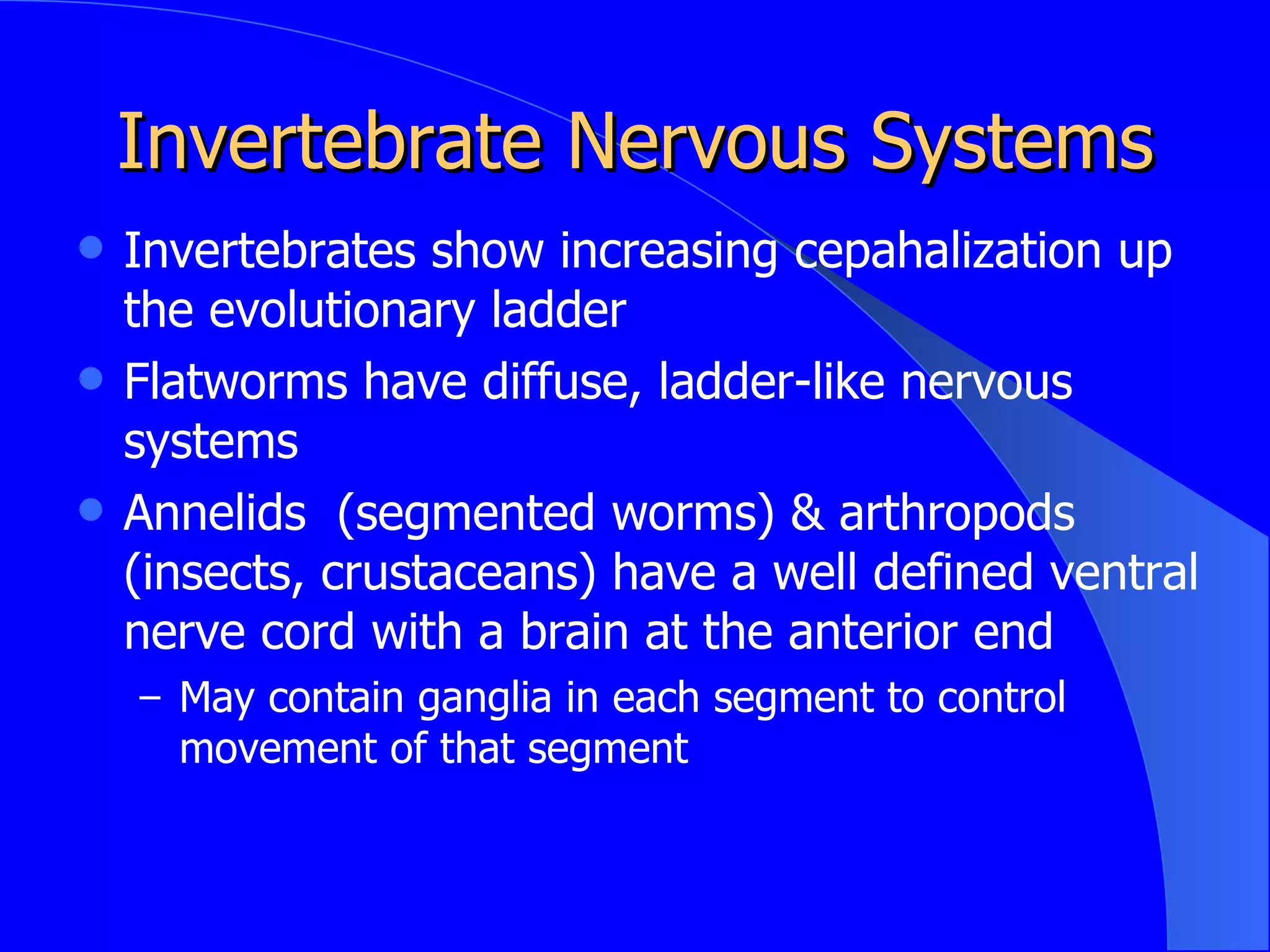 Evolution Of The Nervous System | PPT