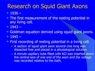 Evolution Of The Nervous System | PPT