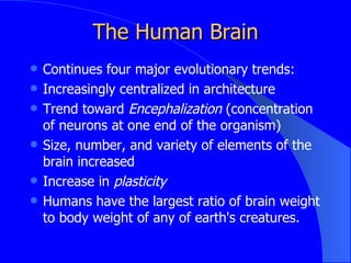 Evolution Of The Nervous System | PPT