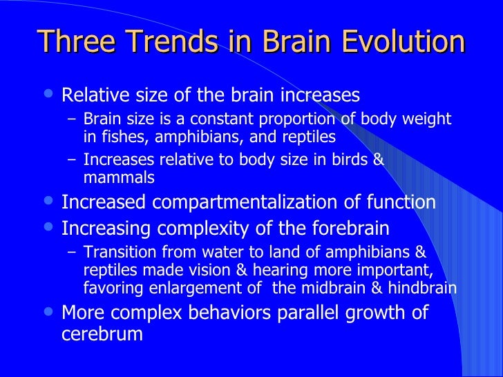 Evolution Of The Nervous System