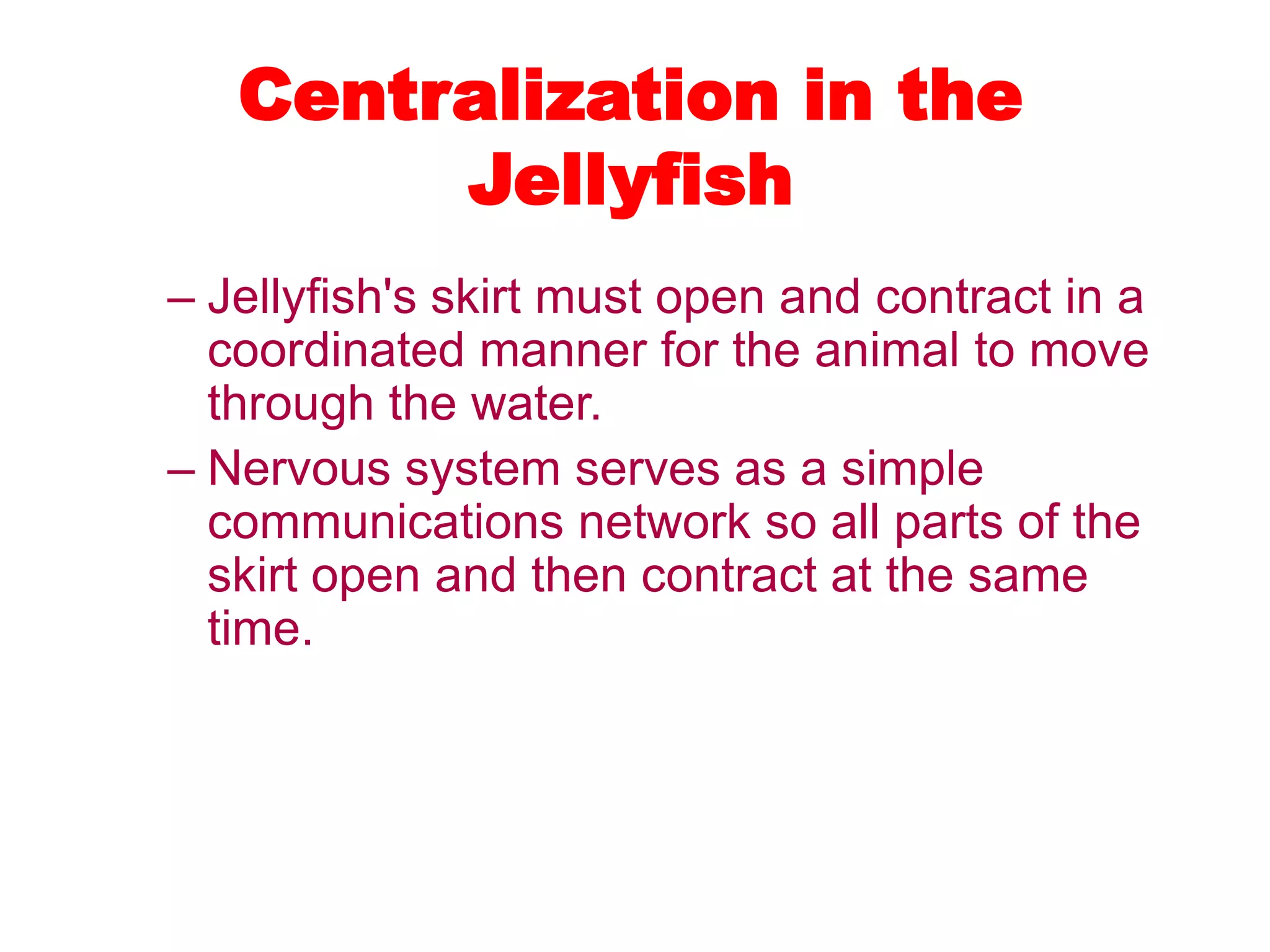 Evolution Of The Nervous System Pptx Brain And Nervous System Disorders Diseases And