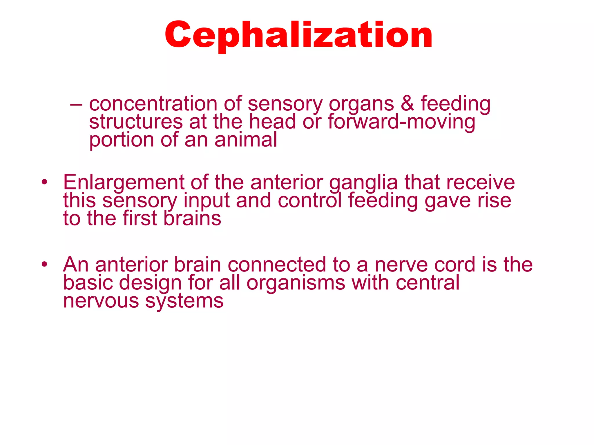 Evolution Of The Nervous System Pptx Brain And Nervous System Disorders Diseases And