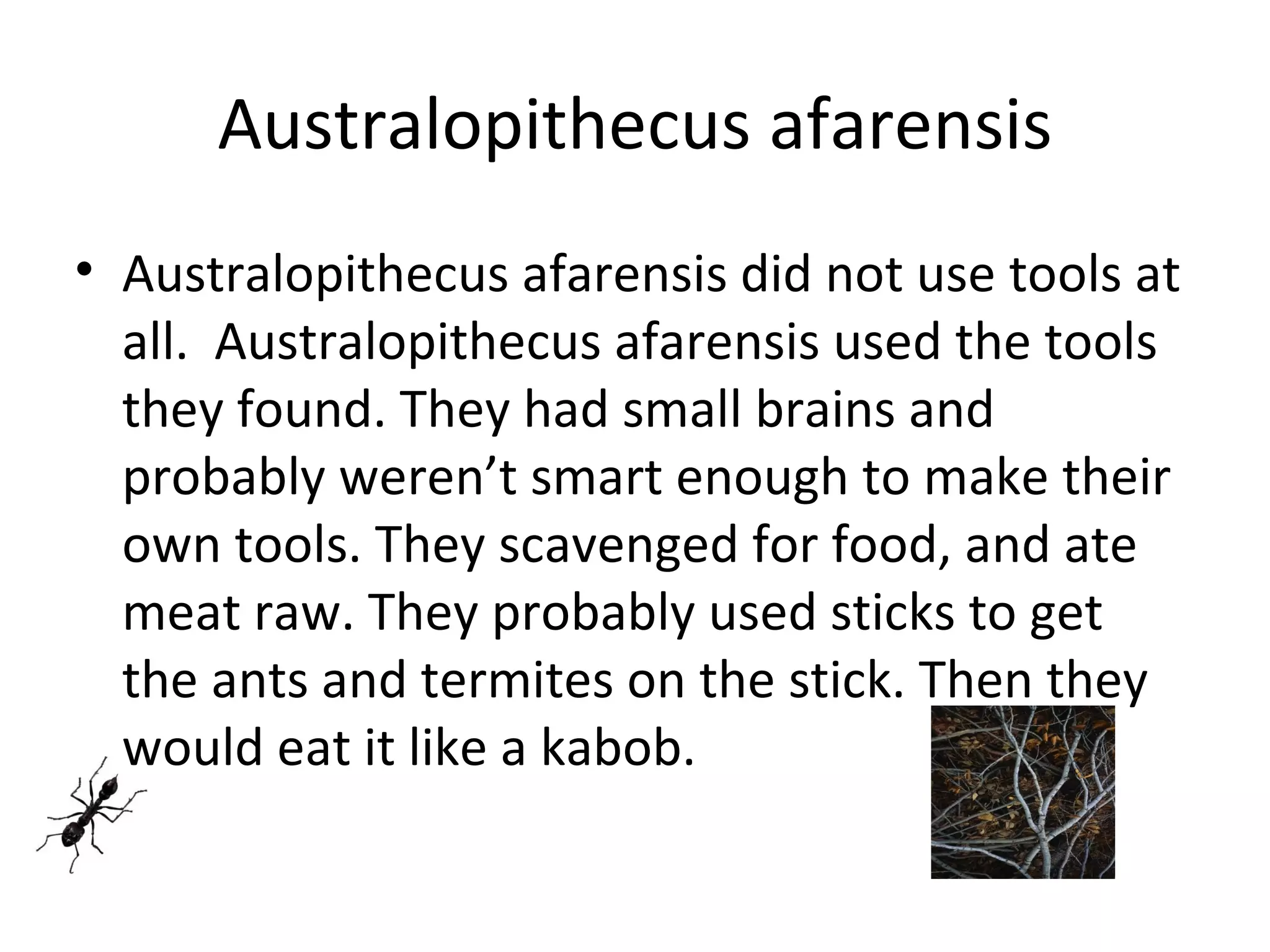 Evolution of tools | PPT