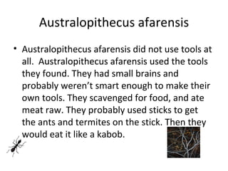 Evolution of tools | PPT