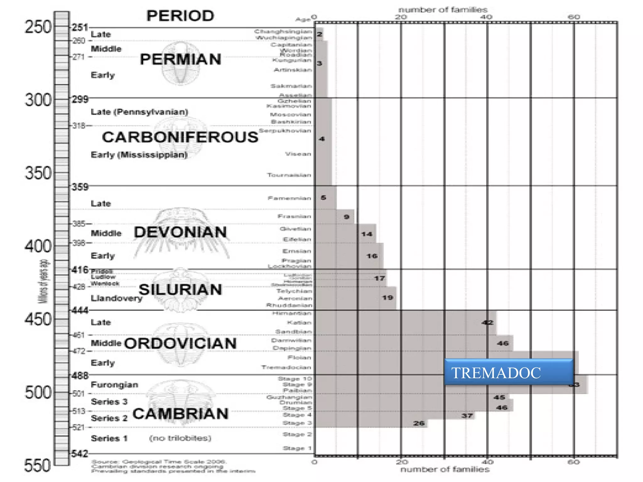 Evolution of trilobite &hibians its stratigraphic significance | PPT