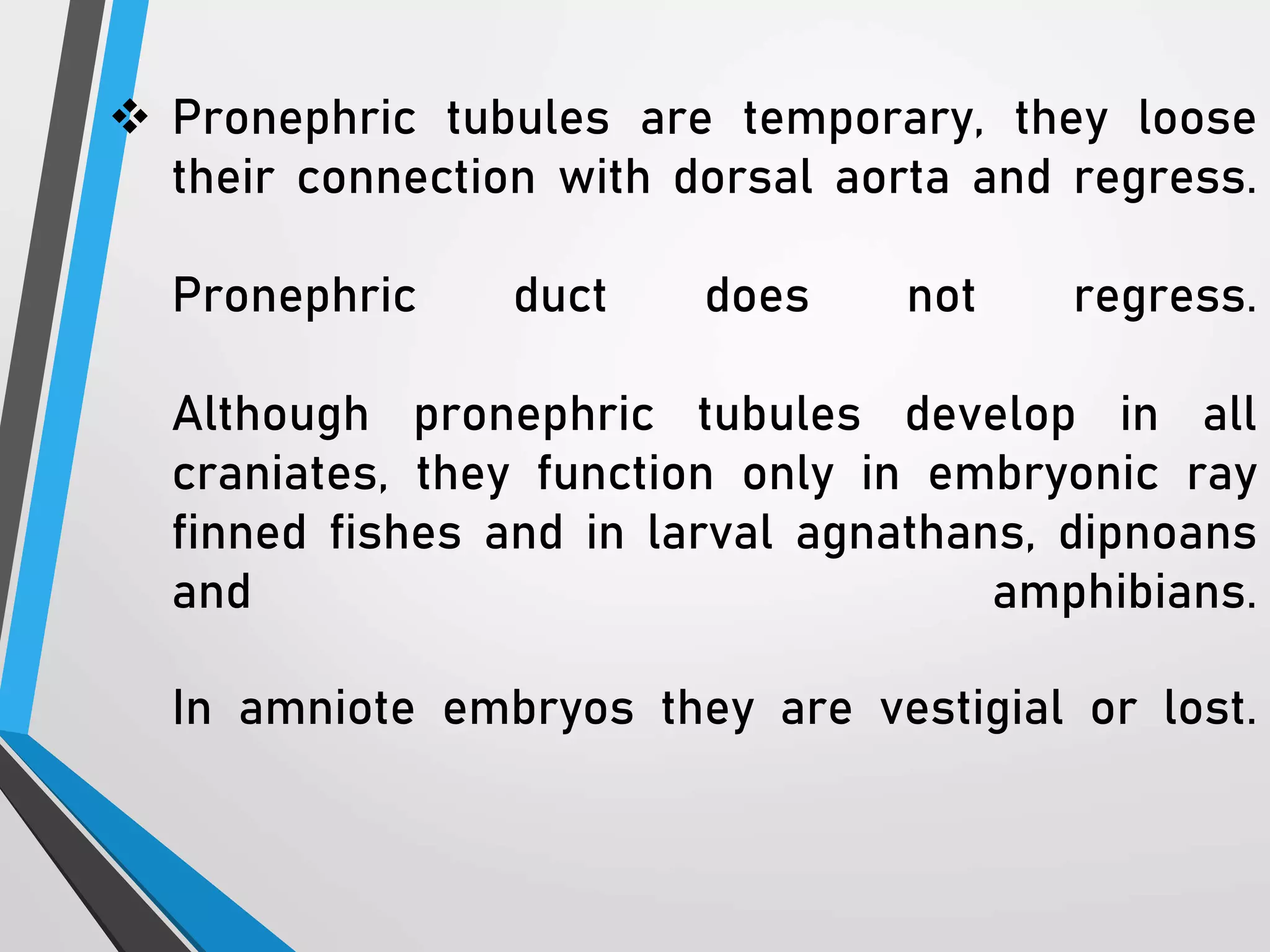 Evolution of Urinogenital Ducts.pptx