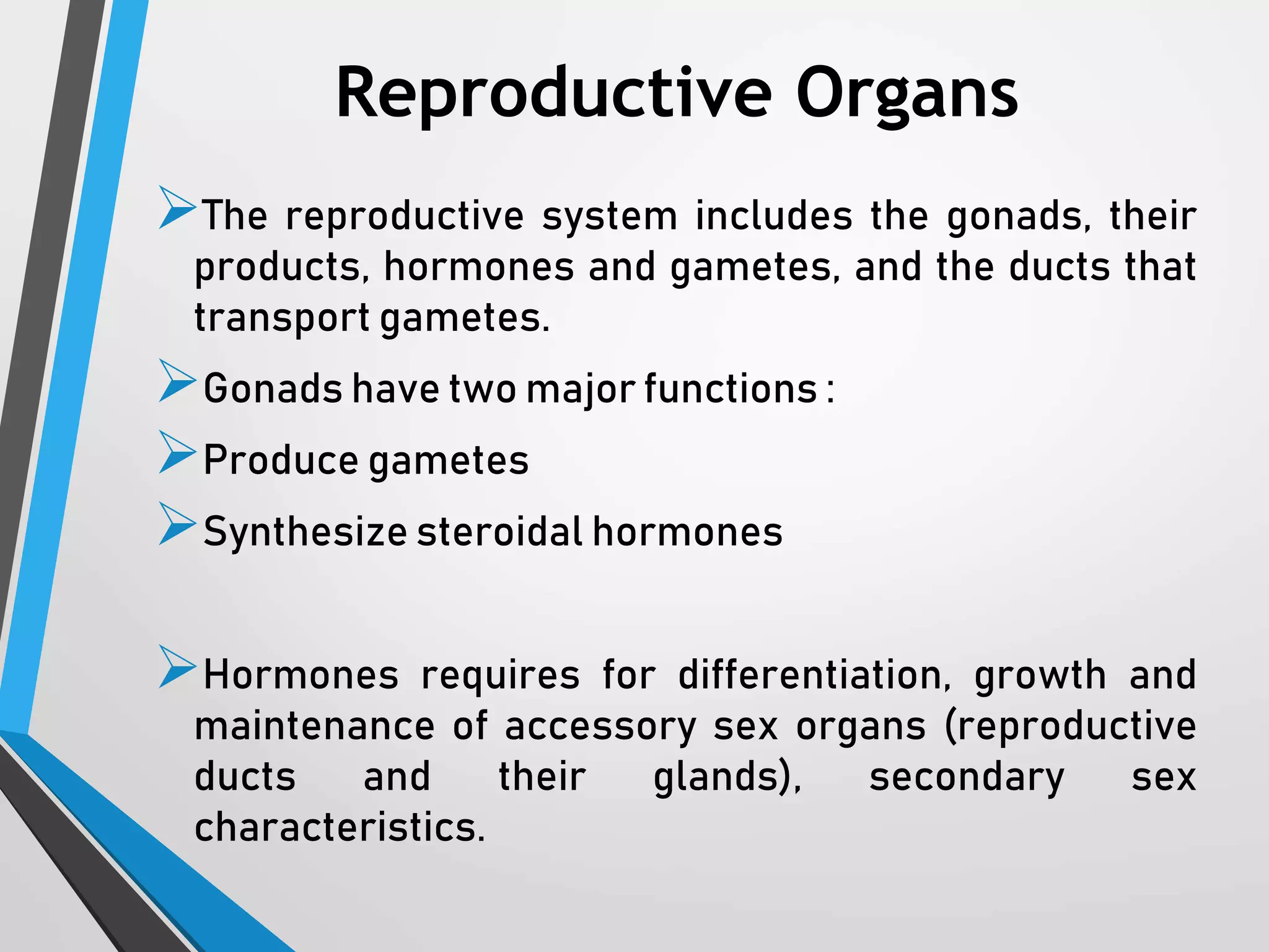 Evolution of Urinogenital Ducts.pptx
