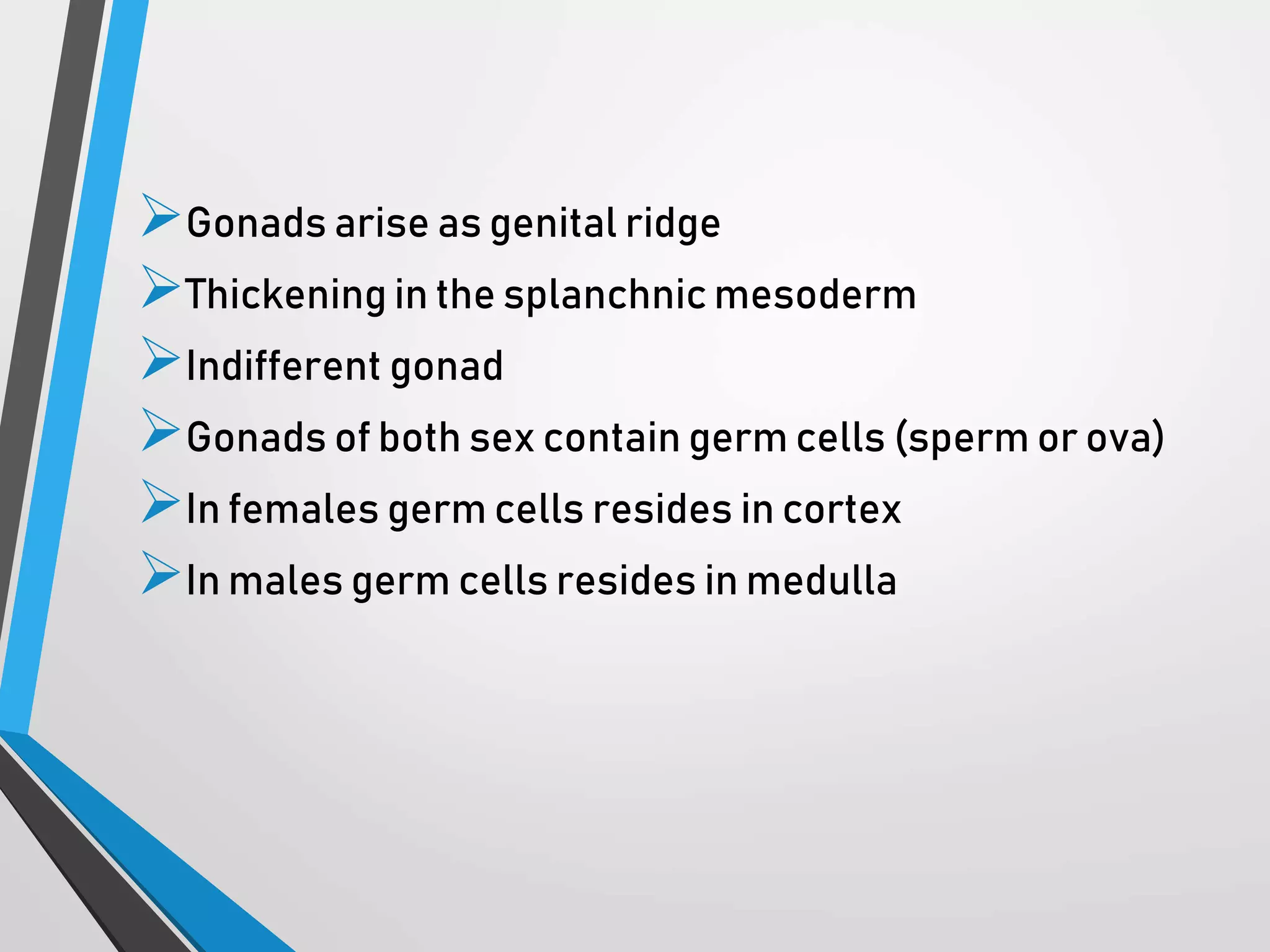 Evolution of Urinogenital Ducts.pptx
