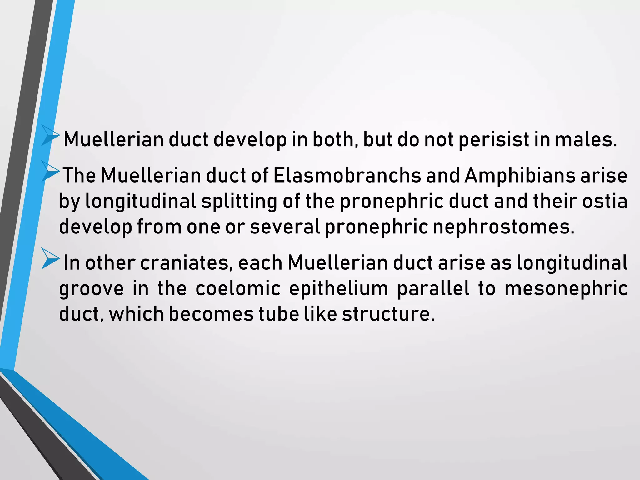 Evolution of Urinogenital Ducts.pptx