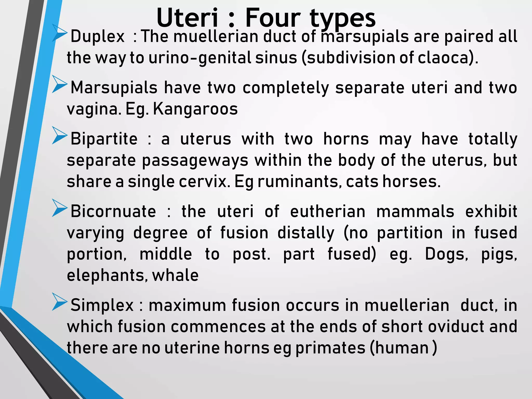 Evolution of Urinogenital Ducts.pptx
