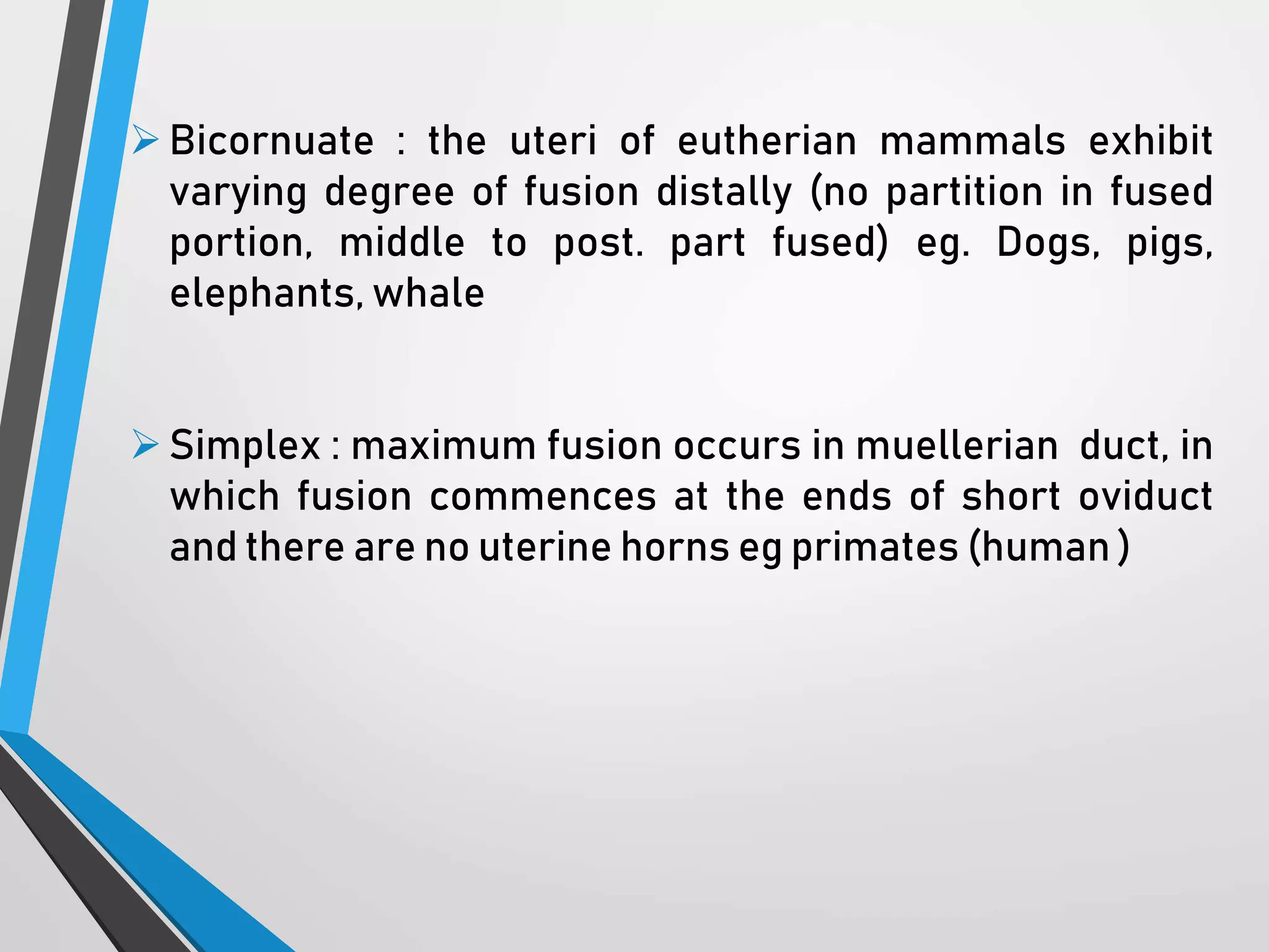 Evolution of Urinogenital Ducts.pptx