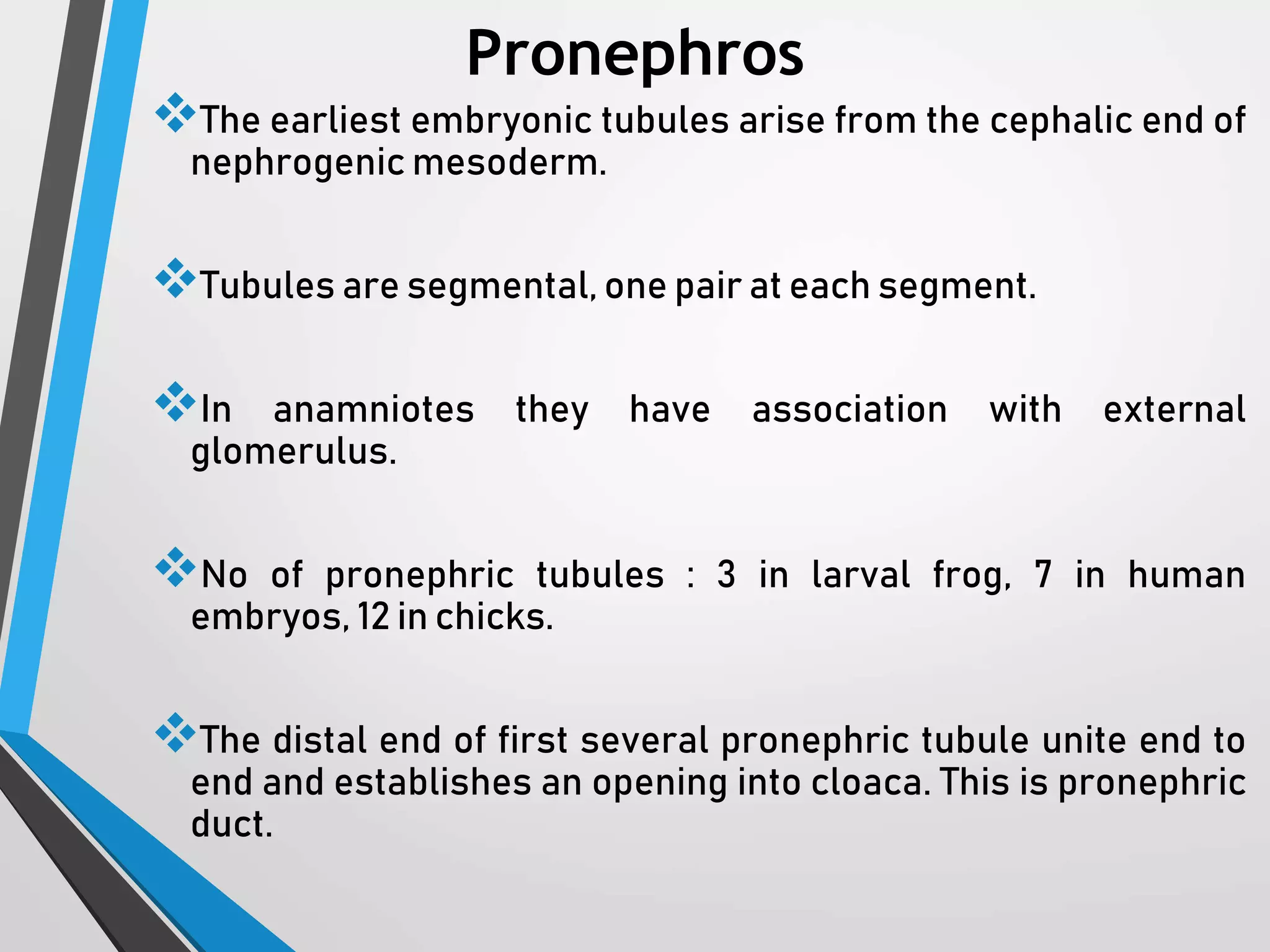 Evolution of Urinogenital Ducts.pptx