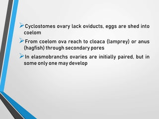 Evolution of Urinogenital Ducts.pptx