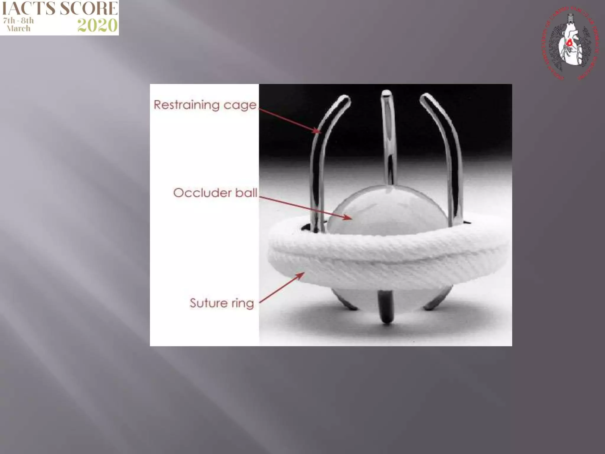 Evolution of valves, Identification & Key Features | IACTS SCORE 2020 | PPT