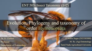 Evolution, Phylogeny and Taxonomy of order Hymenoptera | PPT