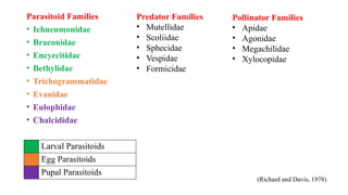 Evolution, Phylogeny and Taxonomy of order Hymenoptera | PPTX