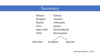 Evolution, Phylogeny and Taxonomy of order Hymenoptera | PPTX