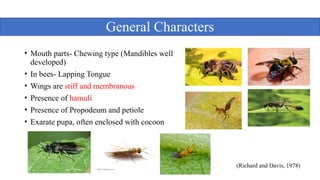 Evolution, Phylogeny and Taxonomy of order Hymenoptera | PPT