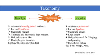 Evolution, Phylogeny and Taxonomy of order Hymenoptera | PPTX