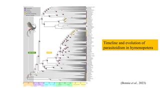 Evolution, Phylogeny and Taxonomy of order Hymenoptera | PPTX