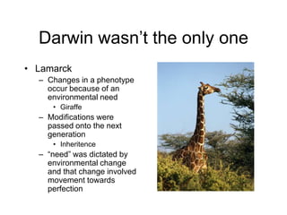 Evolution powerpoint | PPTX