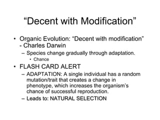 Evolution powerpoint | PPTX