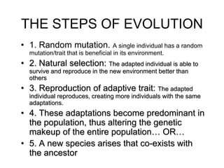 Evolution powerpoint | PPTX
