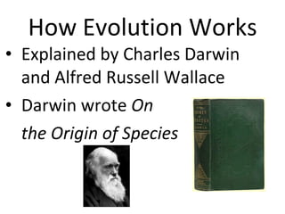Evolution powerpoint | PPT