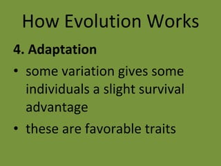 Evolution powerpoint | PPT