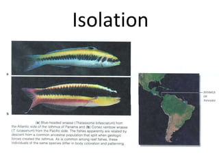 Evolution powerpoint | PPT