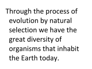 Evolution powerpoint | PPT