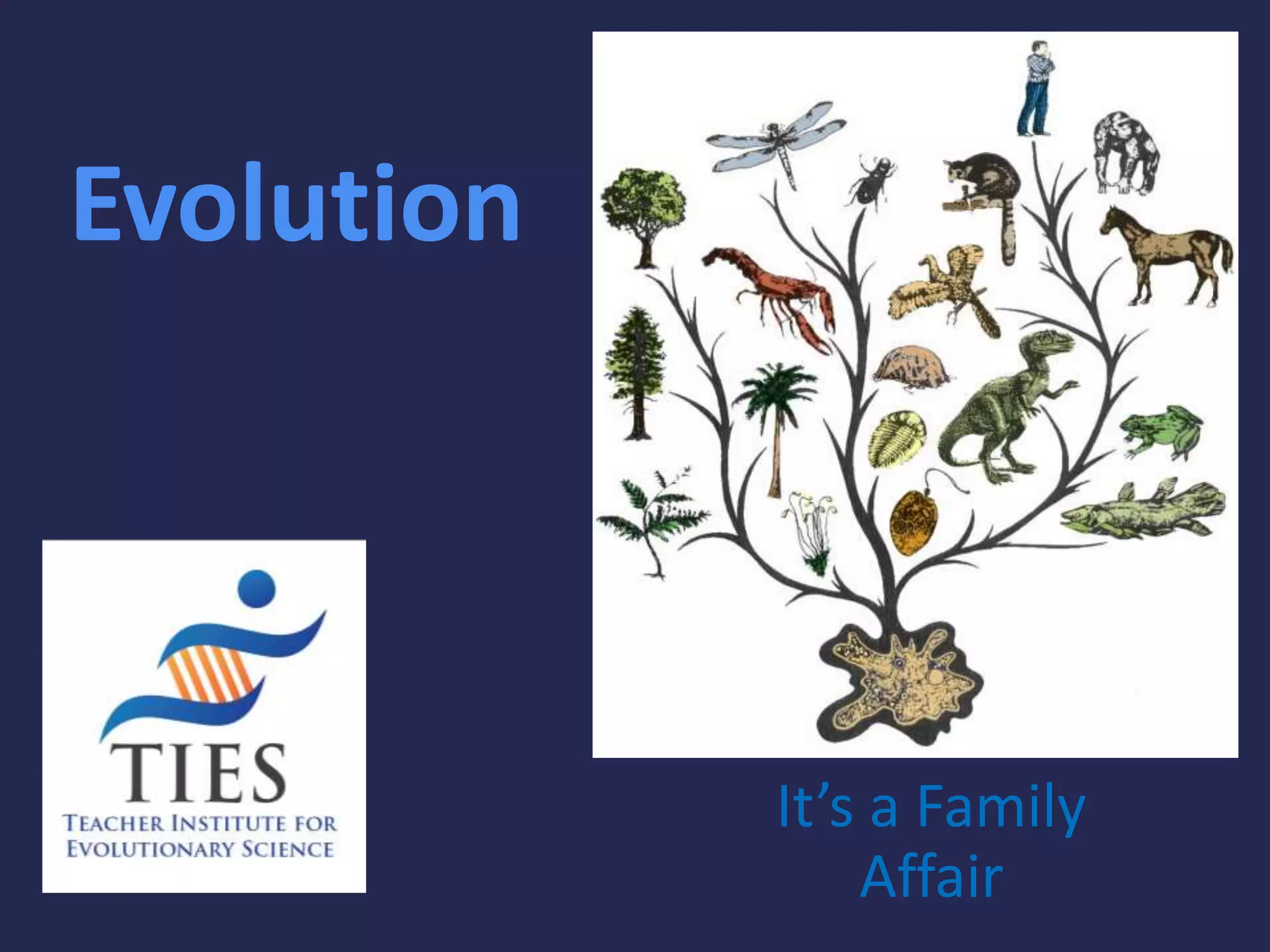 Evolution Presentation | PPTX