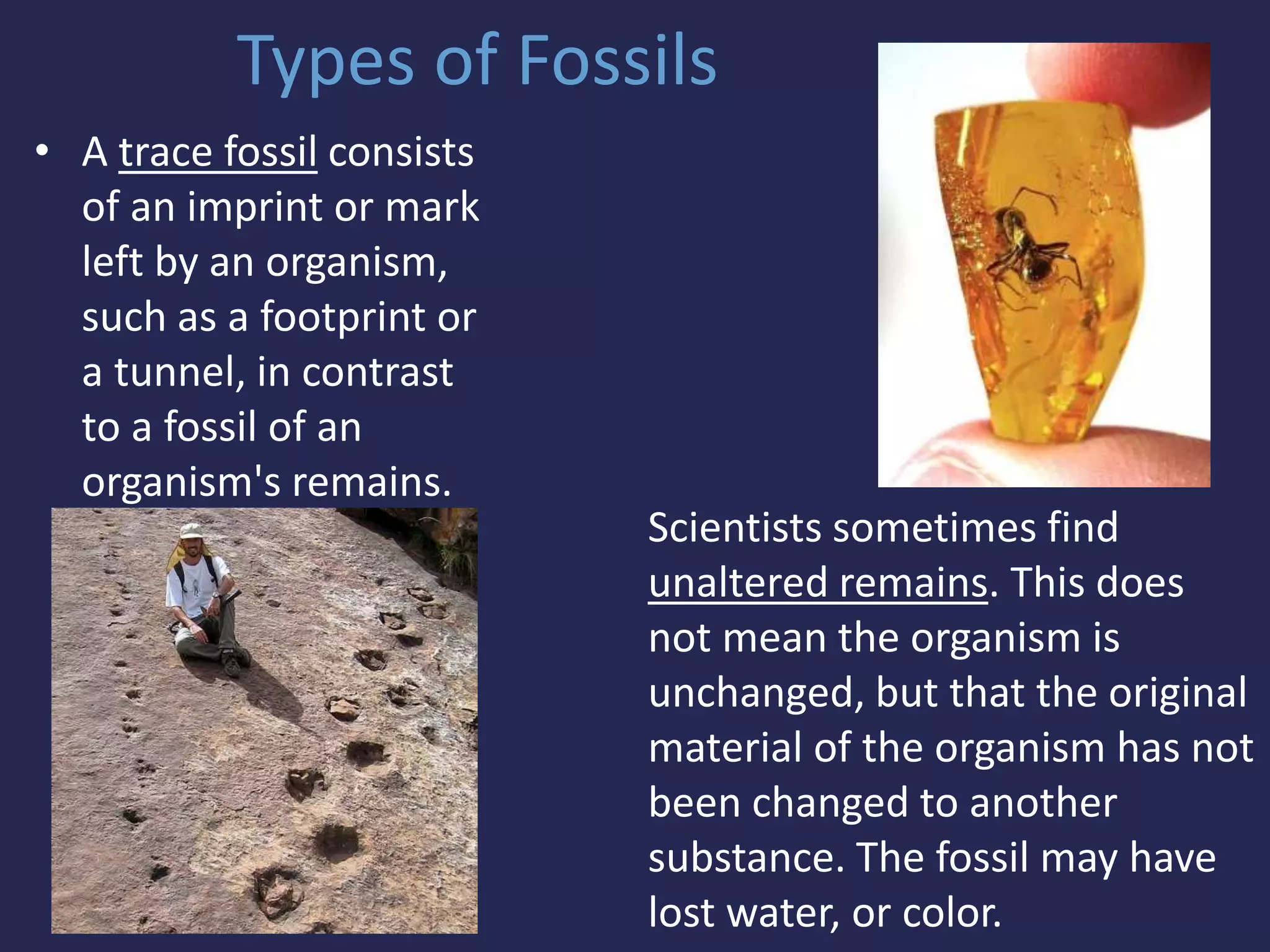 Evolution Presentation | PPTX