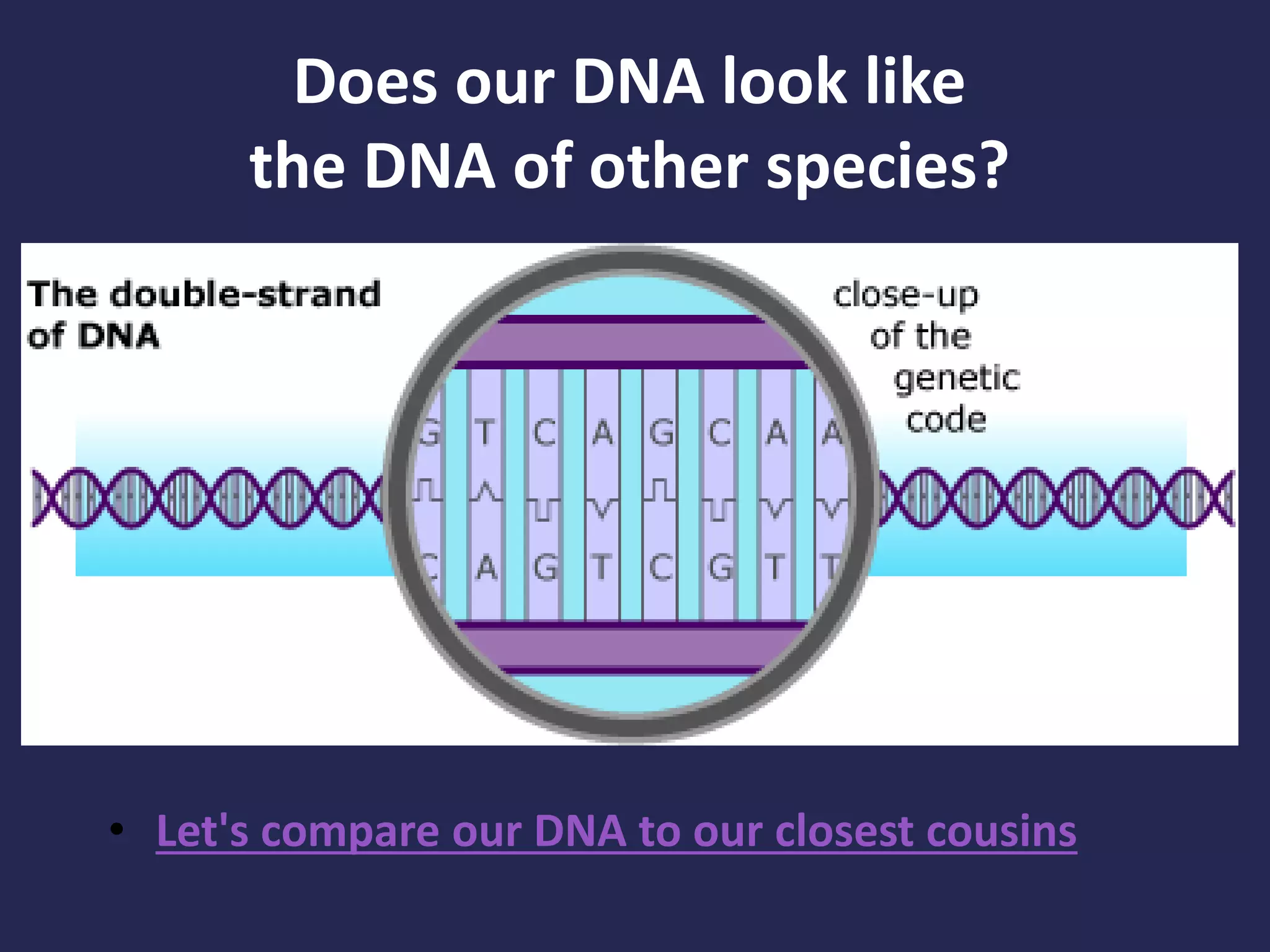 Evolution Presentation | PPTX