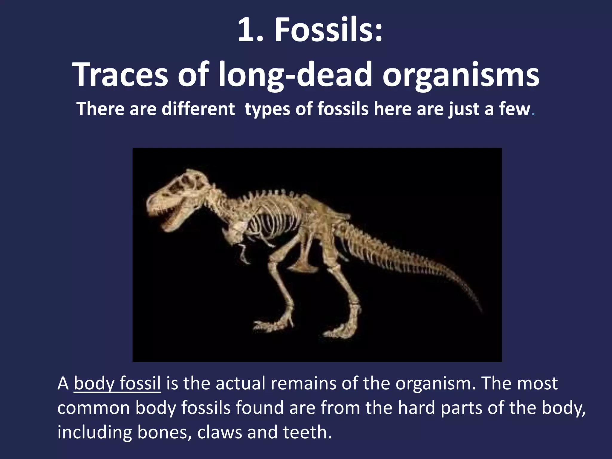 Evolution Presentation | PPTX
