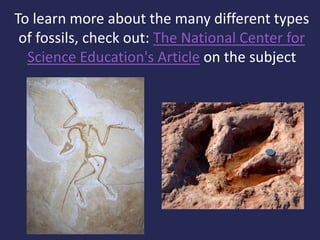 Evolution Presentation | PPTX