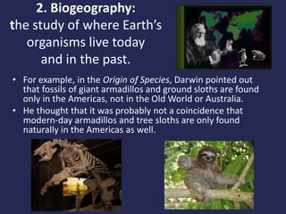 Evolution Presentation | PPTX