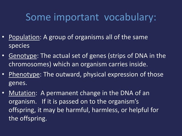 Evolution Presentation | PPTX