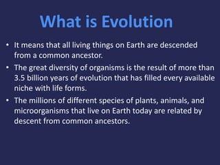 Evolution Presentation | PPTX