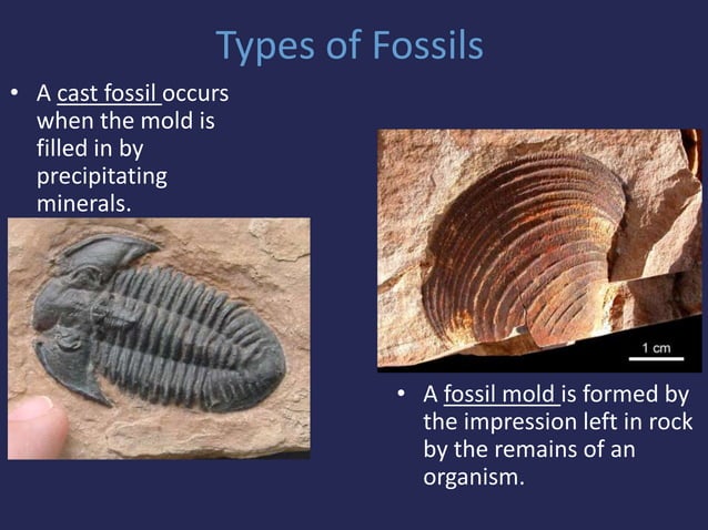 Evolution Presentation | PPTX